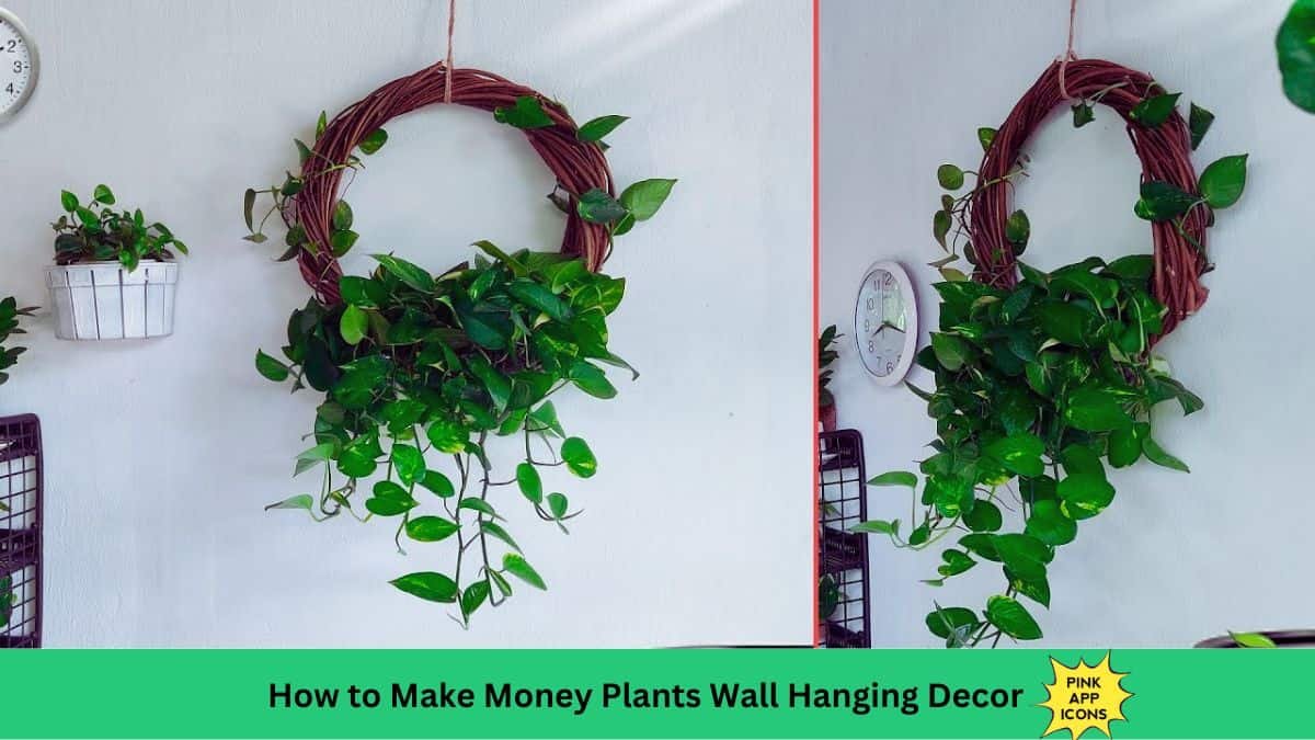 Artificial Money Plant Decoration Ideas at Home
