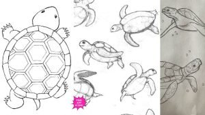 20+ Easy Sea Turtle Drawing Ideas Step by Step