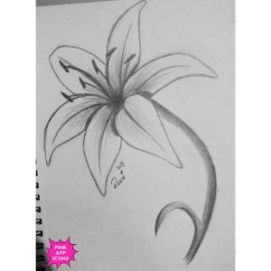 20+ Easy Lily Drawing Ideas Step by Step for Kids