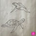 20+ Easy Sea Turtle Drawing Ideas Step by Step