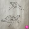 20+ Easy Sea Turtle Drawing Ideas Step by Step
