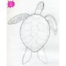 20+ Easy Sea Turtle Drawing Ideas Step by Step