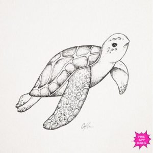 20+ Easy Sea Turtle Drawing Ideas Step by Step