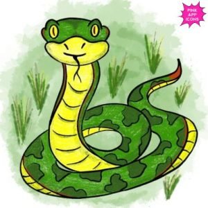 20+ Easy Snake Drawing Ideas for Kids Step by Step