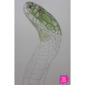 20+ Easy Snake Drawing Ideas for Kids Step by Step